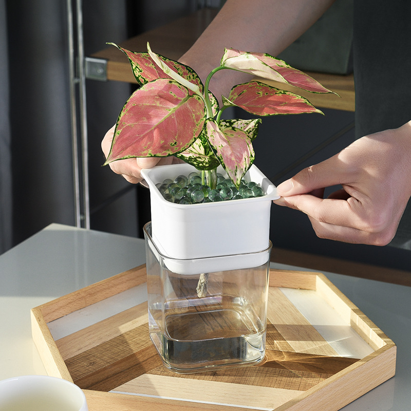 Plastic transparent non-porous plant pots wholesale