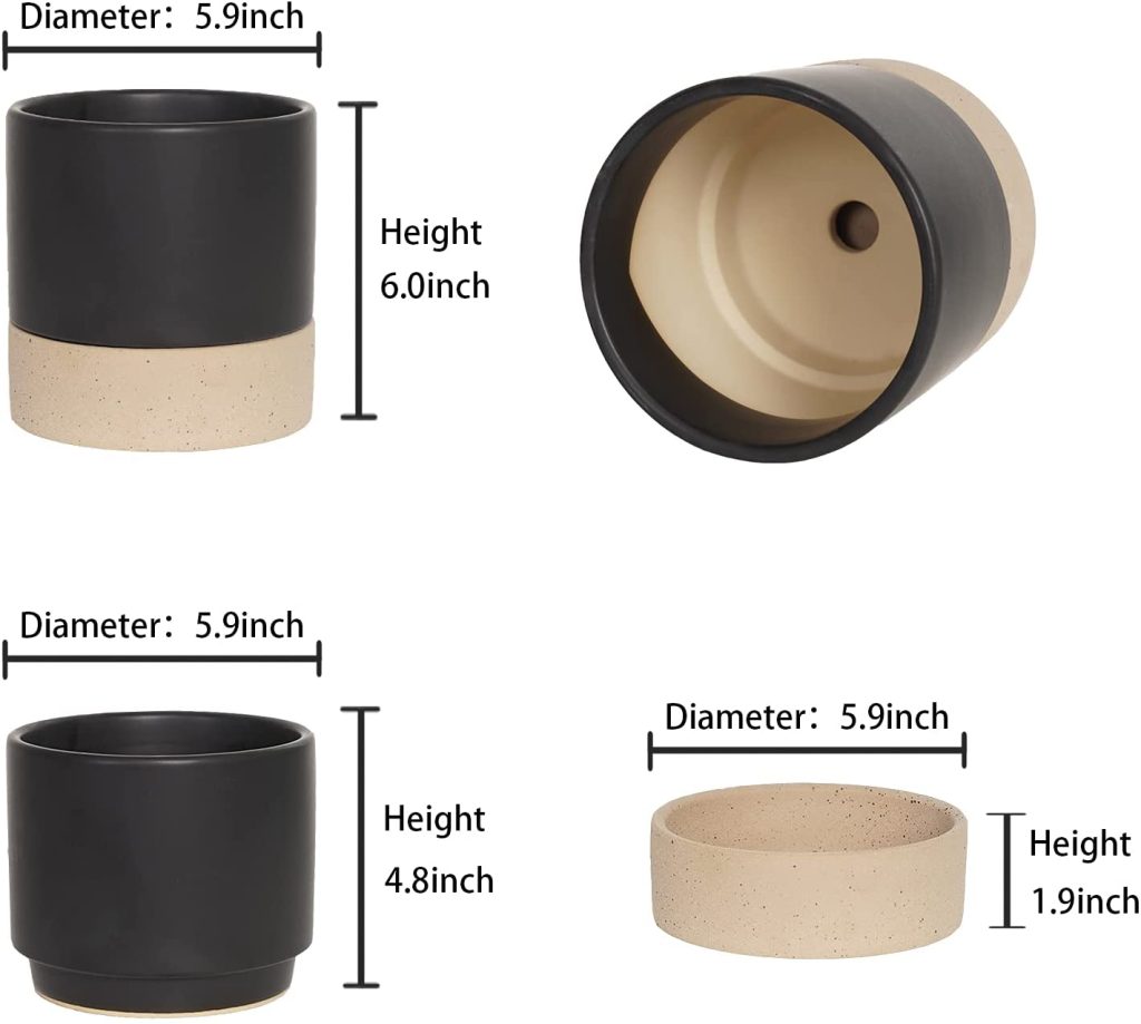 6 Inch Ceramic Planter Pot With Drainage Hole